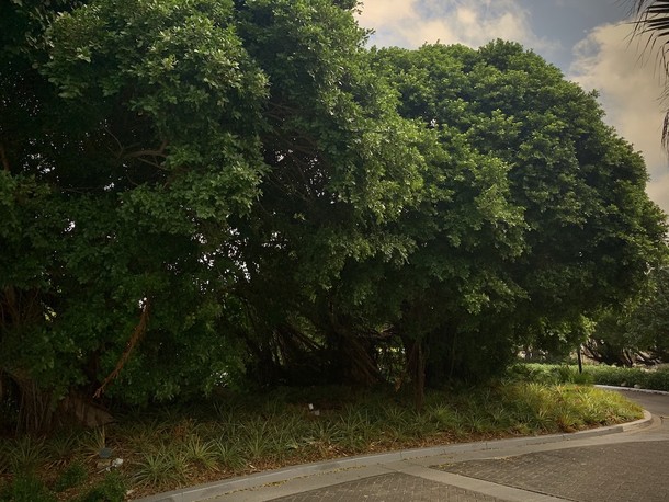 BACK TO PRODUCT OVERVIEW