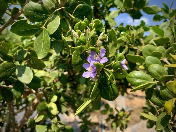 BACK TO PRODUCT OVERVIEW