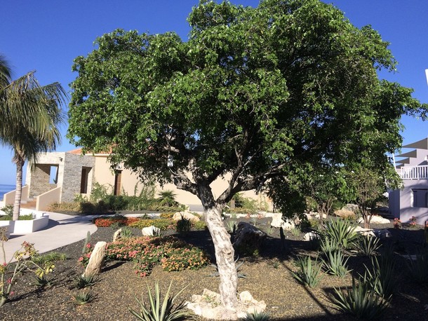 BACK TO PRODUCT OVERVIEW