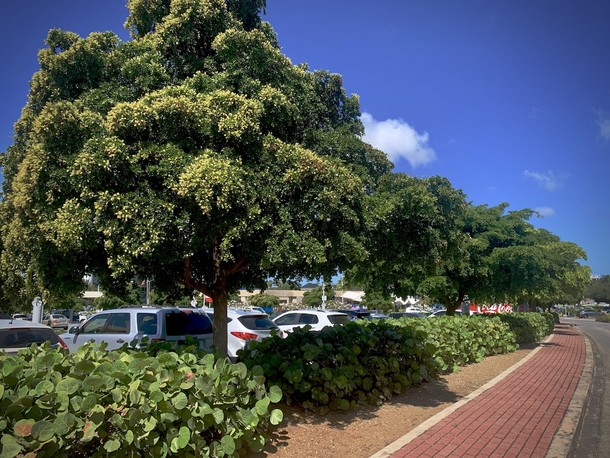 BACK TO PRODUCT OVERVIEW