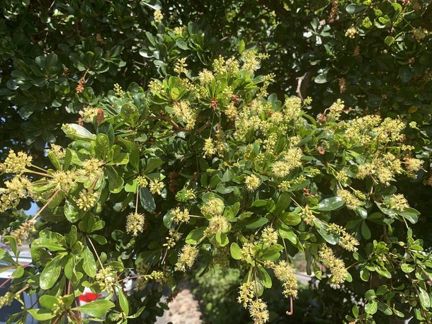 BACK TO PRODUCT OVERVIEW