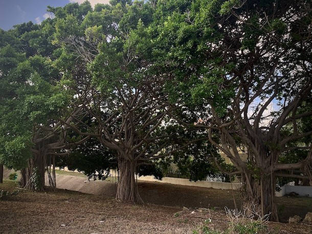 BACK TO PRODUCT OVERVIEW