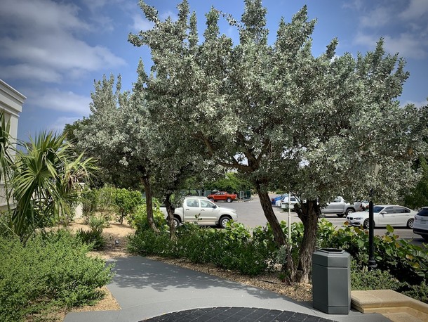 BACK TO PRODUCT OVERVIEW